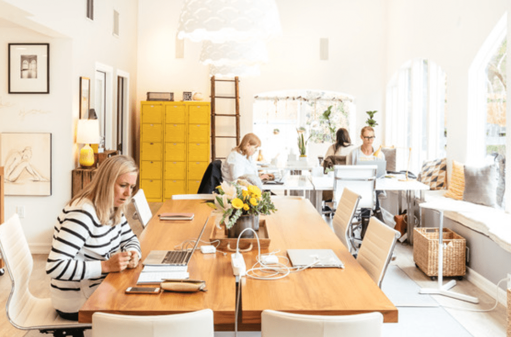 The Hivery – workspace | Enjoy Mill Valley