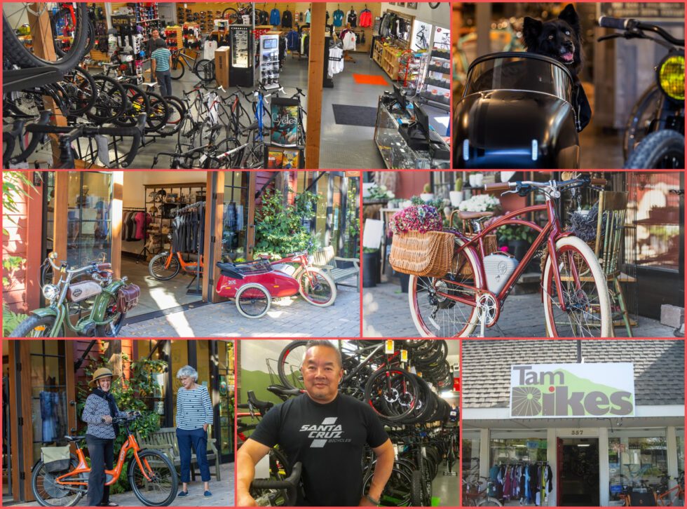 As the Popularity of E-Bikes Continues to Surge, Mill Valley Basks in ...