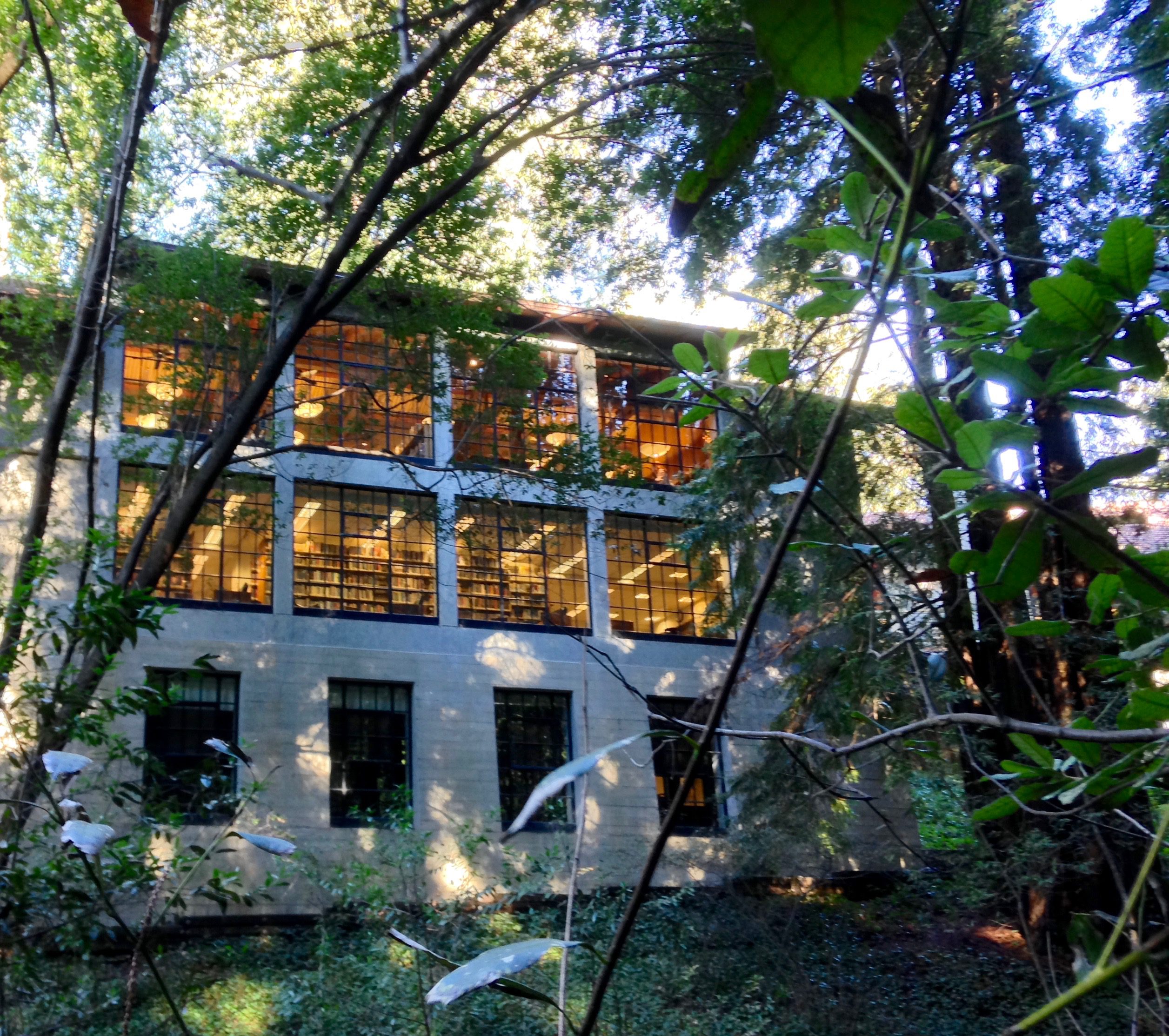 HOME | Enjoy Mill Valley