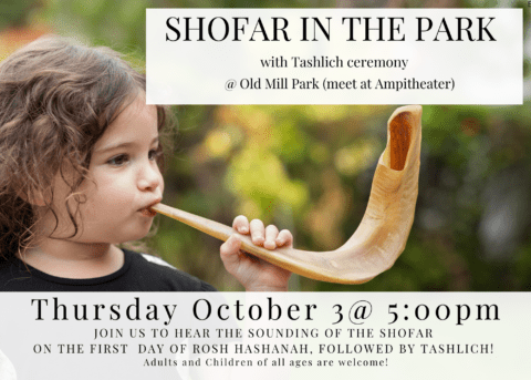 Scop Family’s Chabad Mill Valley, Throws a Shofar in the Park Event in ...