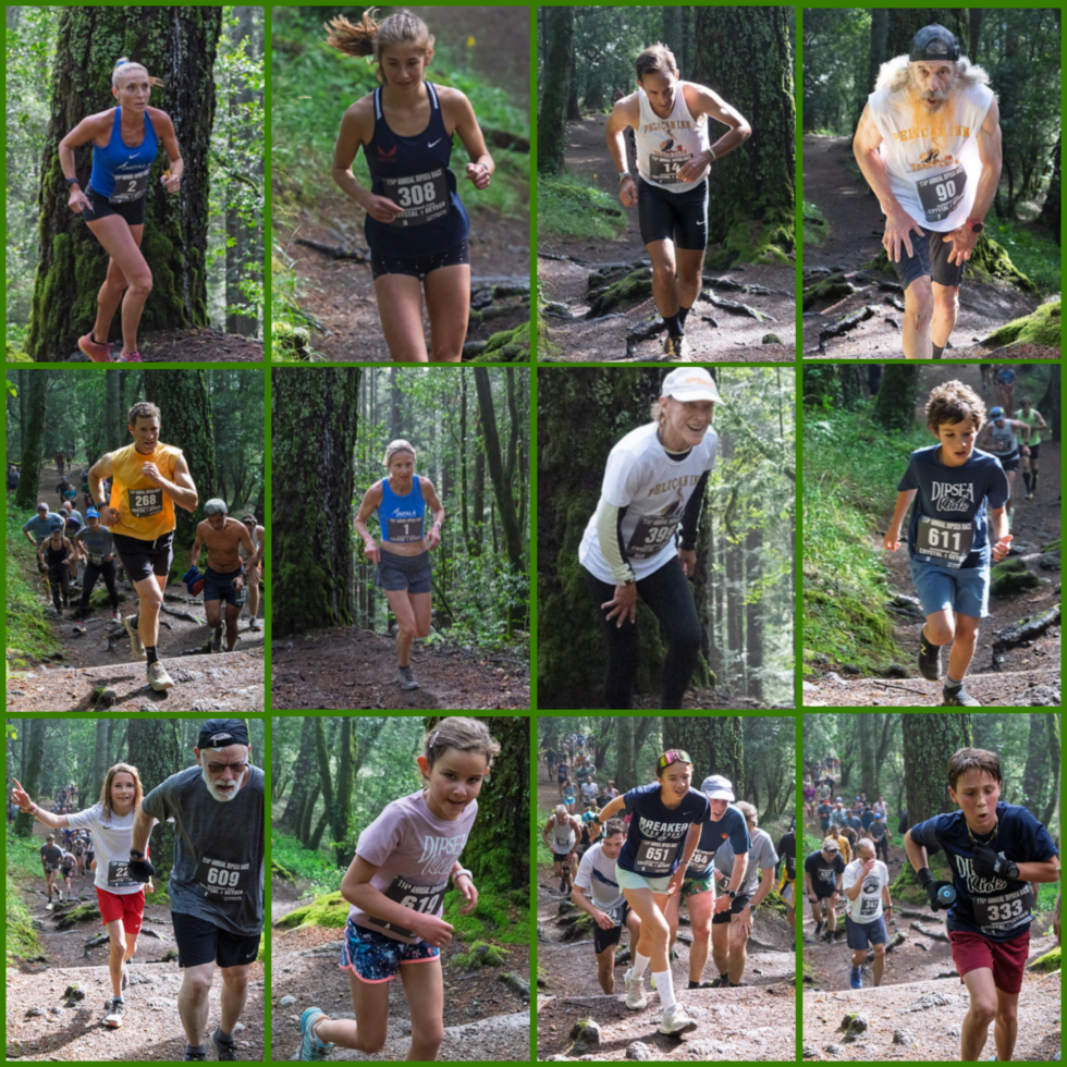 Marin IJ on the 114th Dipsea Race: On the Heels of Chris Lundy’s ...