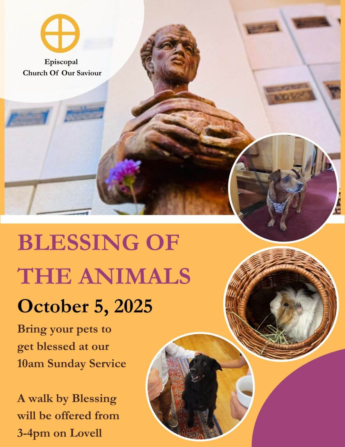 The Episcopal Church of Our Saviour in Mill Valley Hosts The Blessing ...